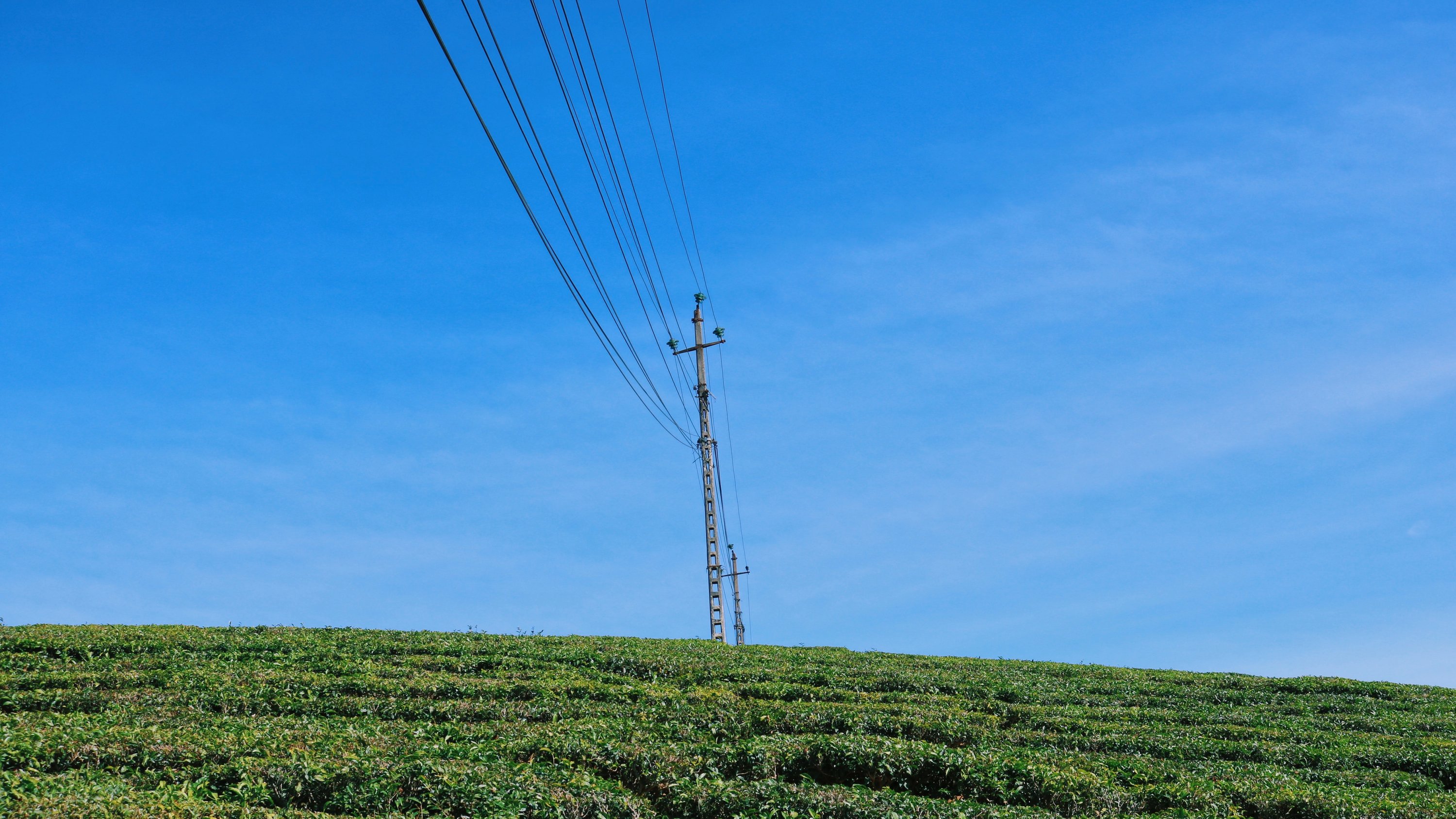 Are private wire networks an opportunity for power developers? | LandTech
