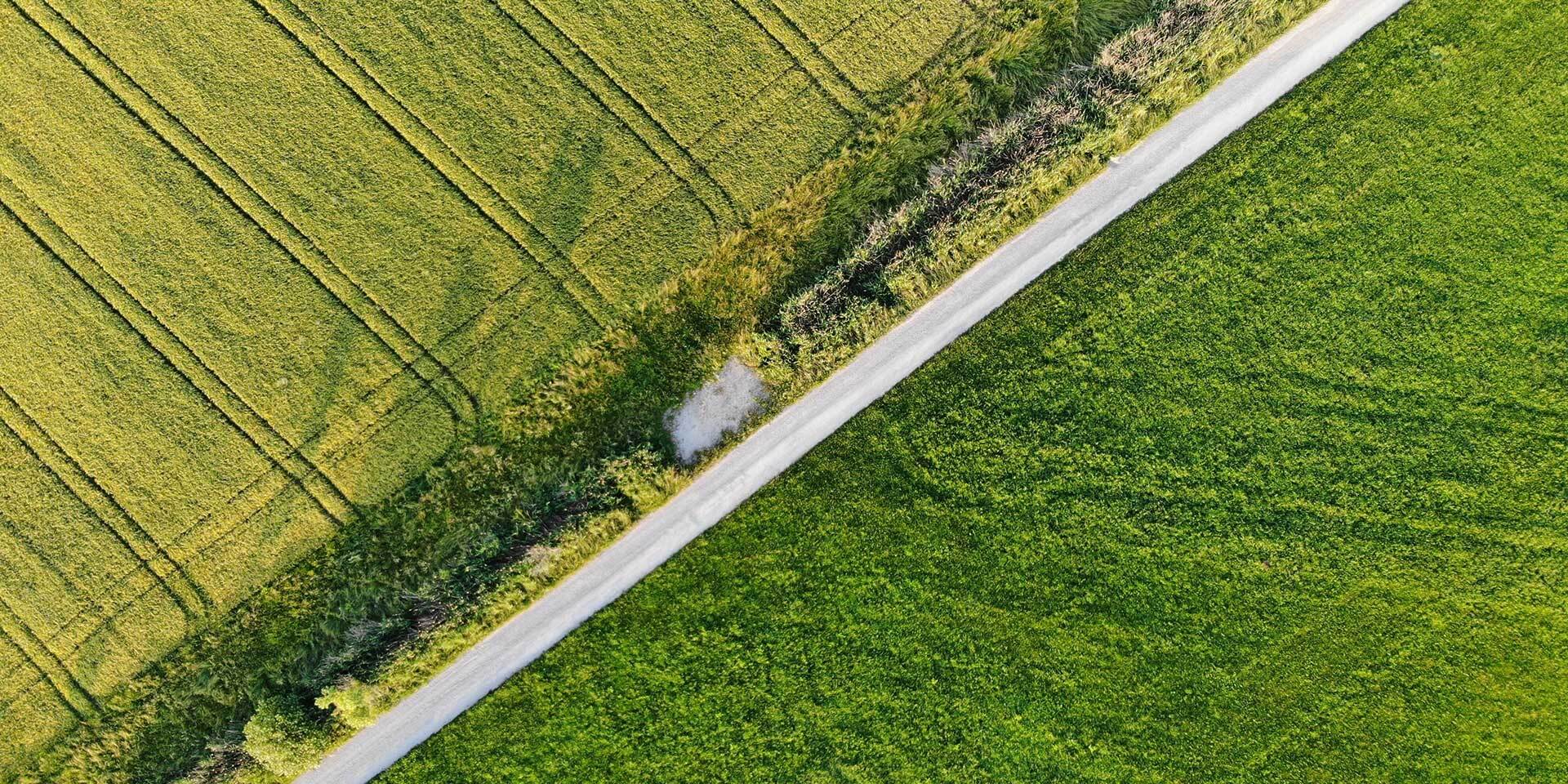 How to find land: The market and challenges | LandTech